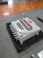 China ATEX CNEX Flameproof Control Panel Marine Grade Aluminum IP66 WF2 100A for sale