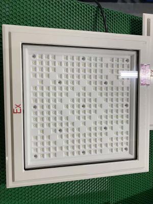 China Explosion Proof LED Flood Light With Lamp Bead CREE And 50-240Watt Category for sale