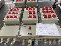 China ATEX Explosion Proof Control Station 220/380VAC Flameproof Electrical Control Box With Multiple Thread Sizes G1/2