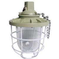 China Explosion Proof Flexible Conduit IP66 WF2 ATEX Certified for Gas Dust Hazardous Areas for sale