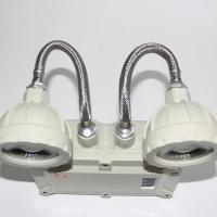 China Customizable Voltage Explosion Proof LED Flood Light CRI Ra≥80 AC90-380V with Bracket Mounting for sale