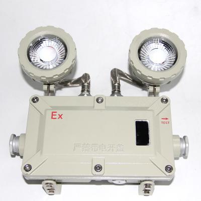 China Explosion Proof LED Flood Light IP66 WF2 CREE 150lm/W AC90-380V for Zone 1 for sale
