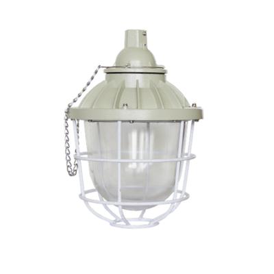 China Explosion Proof HID Lamp Holder E27 Copper-free Aluminum 9000 Lumens 5000K for Hazardous Locations for sale