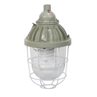 China Explosion Proof HID Light 5000K 9000 Lumens Copper-free Aluminum for Hazardous Areas for sale