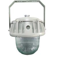 China IECEx-certified maintenance-free LED explosion-proof high-bay lights available with customizable flat/domed covers for sale