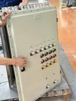 China Explosion Proof Power Distribution Panel with Starter Pump – Flameproof Panelboard for Hazardous Locations for sale