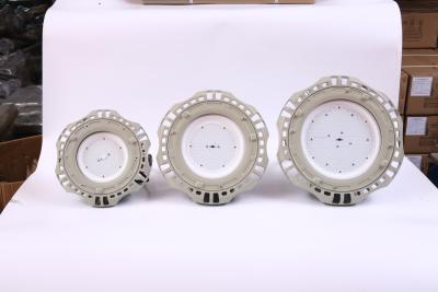 China 250W Explosion Proof LED High Bay Light | Class 1 Zone 1 | Hazardous Location & Harsh Environment Lighting for sale