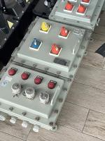 China Wall Mounting Type Flameproof Control Panels with Rated Current ≤225A and IP66 WF2 Protection Level for sale