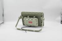 China Ceiling Mounted Explosion Proof LED High Bay Lights for Heavy Duty Applications for sale