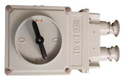 China Explosion Proof Switch 220VAC 380VAC for Hazardous Areas for sale