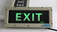 China Durable Explosion Proof Emergency Exit Light – Wide Voltage 90–300V for Zone 1 & Zone 2 for sale