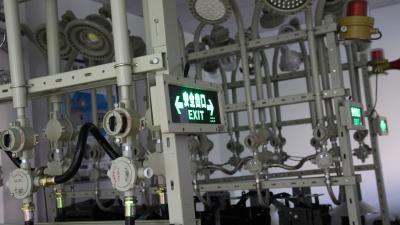 China Crown Extra Flameproof Emergency Light 220VAC 24/36VDC ATEX Certified for sale