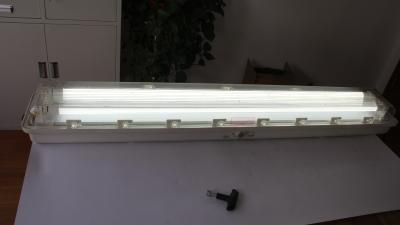 China Explosion Proof Linear LED Light 110lm/W ATEX IECEx CNEX IP66 0.6/1.2m Hazardous Area for sale
