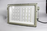 China 100W Explosion Proof LED Flood Light IP65 Temporary Outdoor Work Light 304mm Aluminum Housing for sale