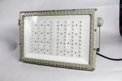 China 100W Explosion Proof LED Flood Light IP65 Temporary Outdoor Work Light 304mm Aluminum Housing for sale