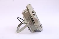 China AC100-277V Input Voltage Flameproof Explosion Proof LED Light Fixture for Industrial Applications for sale