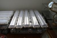 China ATEX IECEx CNEX Explosion Proof Linear Light BYS Series 110lm/W IP66 50000H for sale