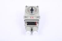 China Crown Extra Explosion Proof Switch AC220V 380V 10A IP66 IEC Certified Aluminum Alloy for sale