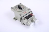 China Explosion Proof Switch 10A 50/60HZ for Industrial Safety and Reliability for sale
