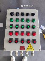China Customizable Rated Voltage Flameproof Control Panels with 12mm Panel Thickness ATEX CNEX ISO9001 Certified for sale