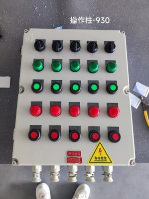 China Customizable Rated Voltage Flameproof Control Panels with 12mm Panel Thickness ATEX CNEX ISO9001 Certified for sale