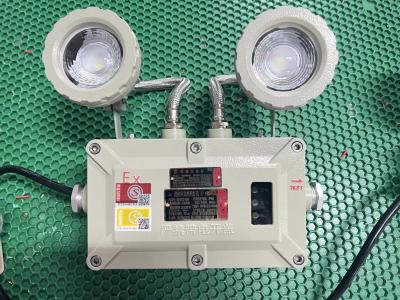 China 5500-6500 CCT Flameproof Emergency Light with EX Certification and Ceiling Mounting Options for sale