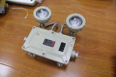 China ATEX Flameproof Explosion Proof Emergency Light 2x5W 180 Mins IP66 LED Exit Light for sale