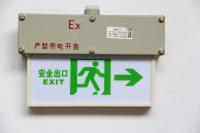 China Corrosion Resistant Wall Mount Flameproof Emergency Light for Protection against Corrosive Elements for sale