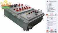 China Water Proof Explosion Proof Junction Box with Entry No See Illustration and cable entry G1/2 IP66 for sale