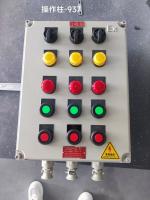 China Explosion Proof Power Distribution Panel 220V 380V IP65 ATEX Certified Hazardous Area Panelboard for sale