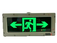 China Flameproof Emergency Light CNEX Certified 220VAC 50Hz 100lm/W LED Hazardous Location for sale