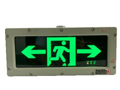 China Flameproof Emergency Light CNEX Certified 220VAC 50Hz 100lm/W LED Hazardous Location for sale