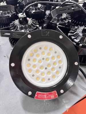 China Crown Extra Explosion Proof LED High Bay Light 100W 11000LM ATEX Certified for sale