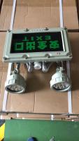 China Flameproof Emergency Light Your Partner for Emergency Lighting in Industrial Settings for sale