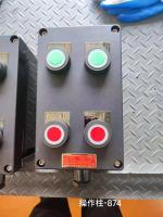 China IP65 Explosion Proof Control Panel Aluminum Stainless Steel 220V 380V Wall Mount for sale