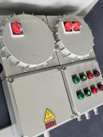 China Customizable Aluminum Explosion Proof Distribution Control Panel Enclosure IIB T4 220V 380V for sale
