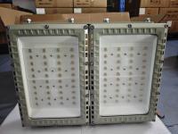 China Crown Extra GYD720 Explosion-Proof LED Floodlight 50W 100-277V AC ATEX Certified for sale