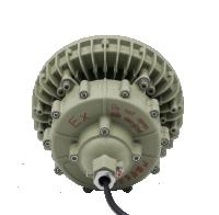 China ATEX IECEx Certified LED Explosion Proof High Bay Light 100W 150W 200W IP66 for sale