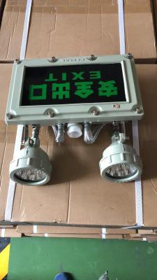 China 403 Status Code Burstproof Emergency Light Ensuring Safety and Security in Emergency Situations for sale