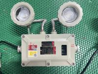 China OEM Class 1 Div 2 Emergency Lighting BCJ Rated Explosion Proof Lighting Solutions for Hazardous Industrial Environments for sale