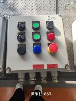 China IIBT4 Aluminum Explosion Proof Distribution Panel 220V 380V Customized Flameproof Control Box for sale