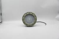 China ATEX IECEx LED Explosion Proof Light 100W 150W Warehouse Light AC95-305V Explosion Proof Light Explosion Proof High Bay Light for sale