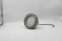 China ATEX IECEx Explosion Proof LED High Bay Light 160lm/W 50000Hrs Wall Ceiling Mount for sale