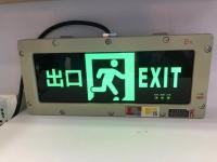 China ATEX EAC CNEX IP67 Flameproof Emergency Light 180 Min 2x3W LED Explosion Proof for sale