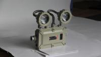 China ATEX IECEx Explosion Proof Emergency Light 2x5W IP66 180 Mins Flameproof LED for sale