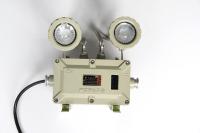 China Emergency Time 180 Mins Explosion Proof Emergency Exit Lights Wall Ceiling Mounting Ideal Choice for Hazardous Locations for sale