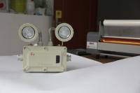 China ATEX 2x5W LED Explosion Proof Emergency Light Twin Spots 180 Mins for Chemical Plant for sale