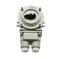 China Explosion Proof Switch IP66 10A 220V 380V Heavy Duty Industrial Control for Hazardous Locations for sale