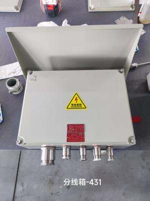 China Customized ATEX Aluminum IP68 Explosion proof Junction Box Manufacturer for sale