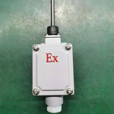 China Explosion Proof Isolator Breaker 16A 220VAC 380VAC Cable Entry G12 Wall Mounted for sale